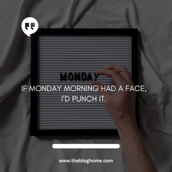 167 Fun Monday Quotes To Get You Through The Week